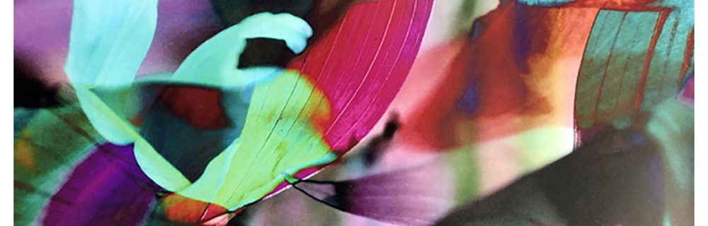 The Oakes College Cambridge - A Level Photography